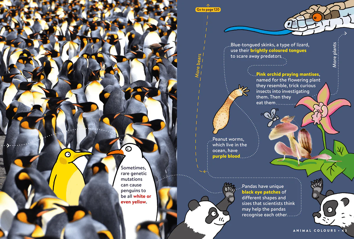 Sneak Peek of Animal FACTopia! • Good Reading