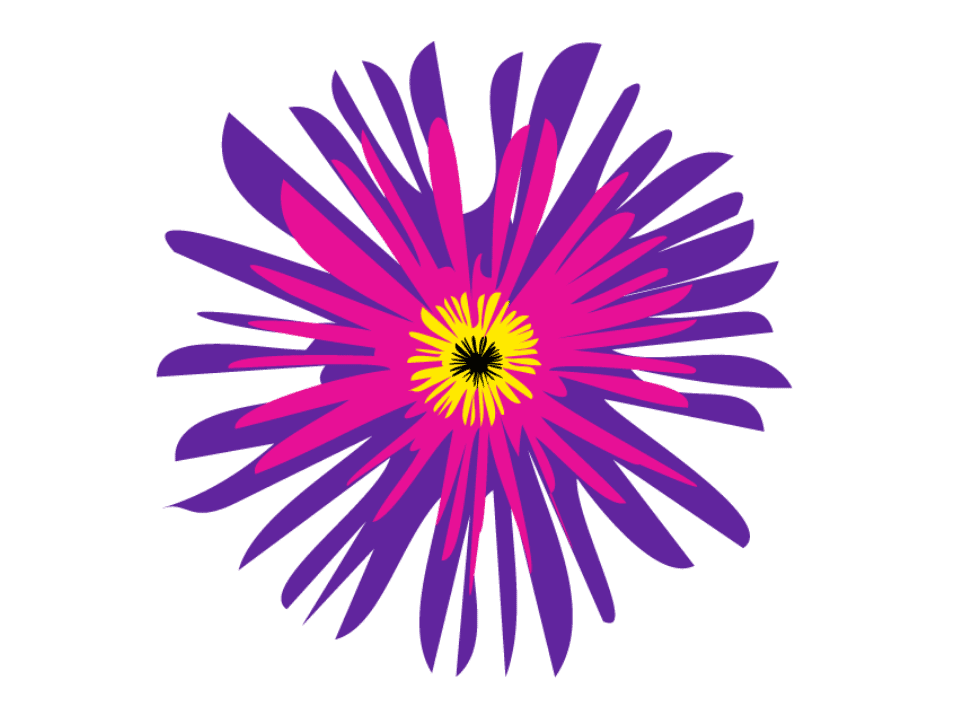 What the Librarians at Mareeba Library are reading • Good Reading