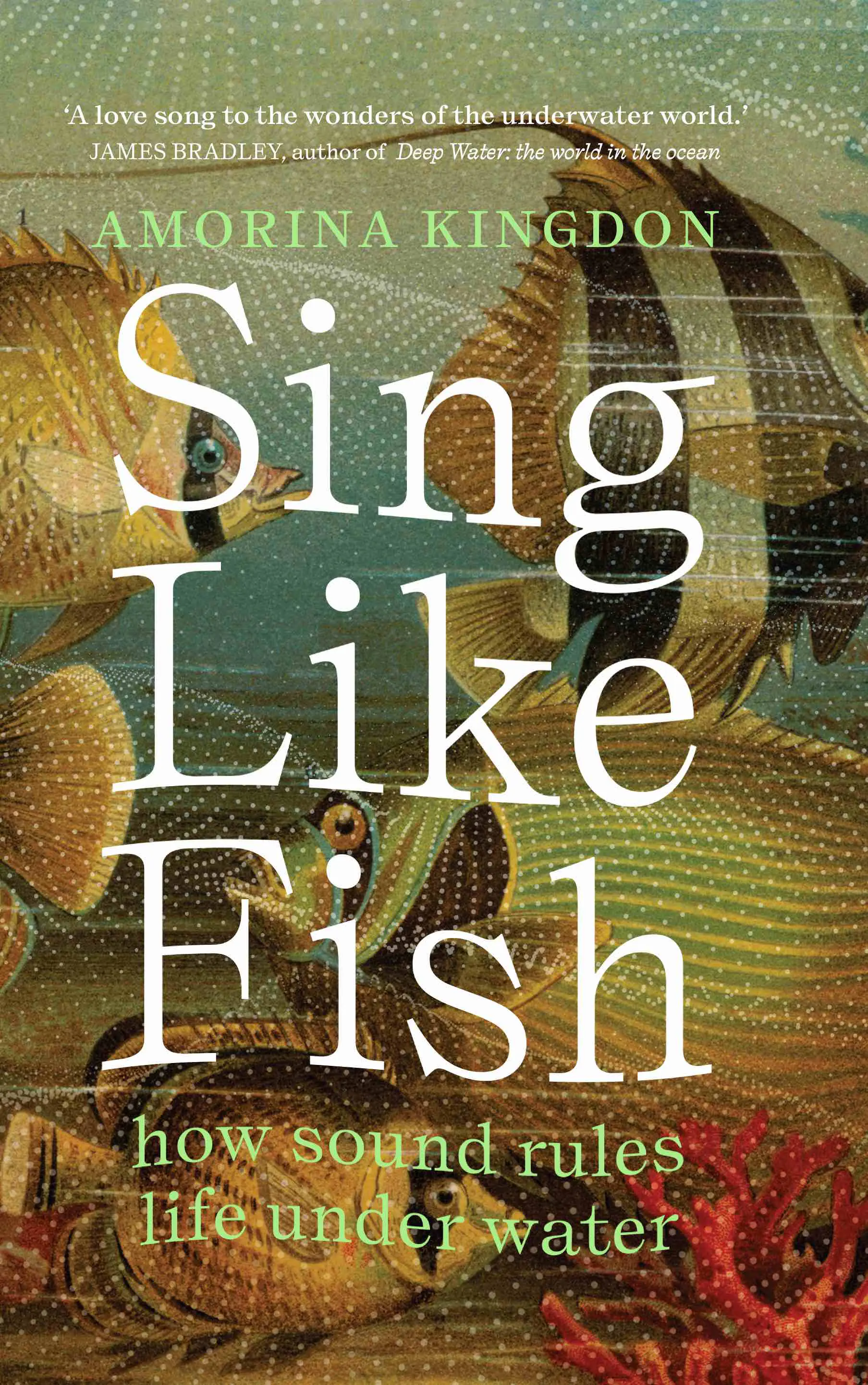 Amorina Kingdon’s Sing Like Fish: How sound rules life under water ...