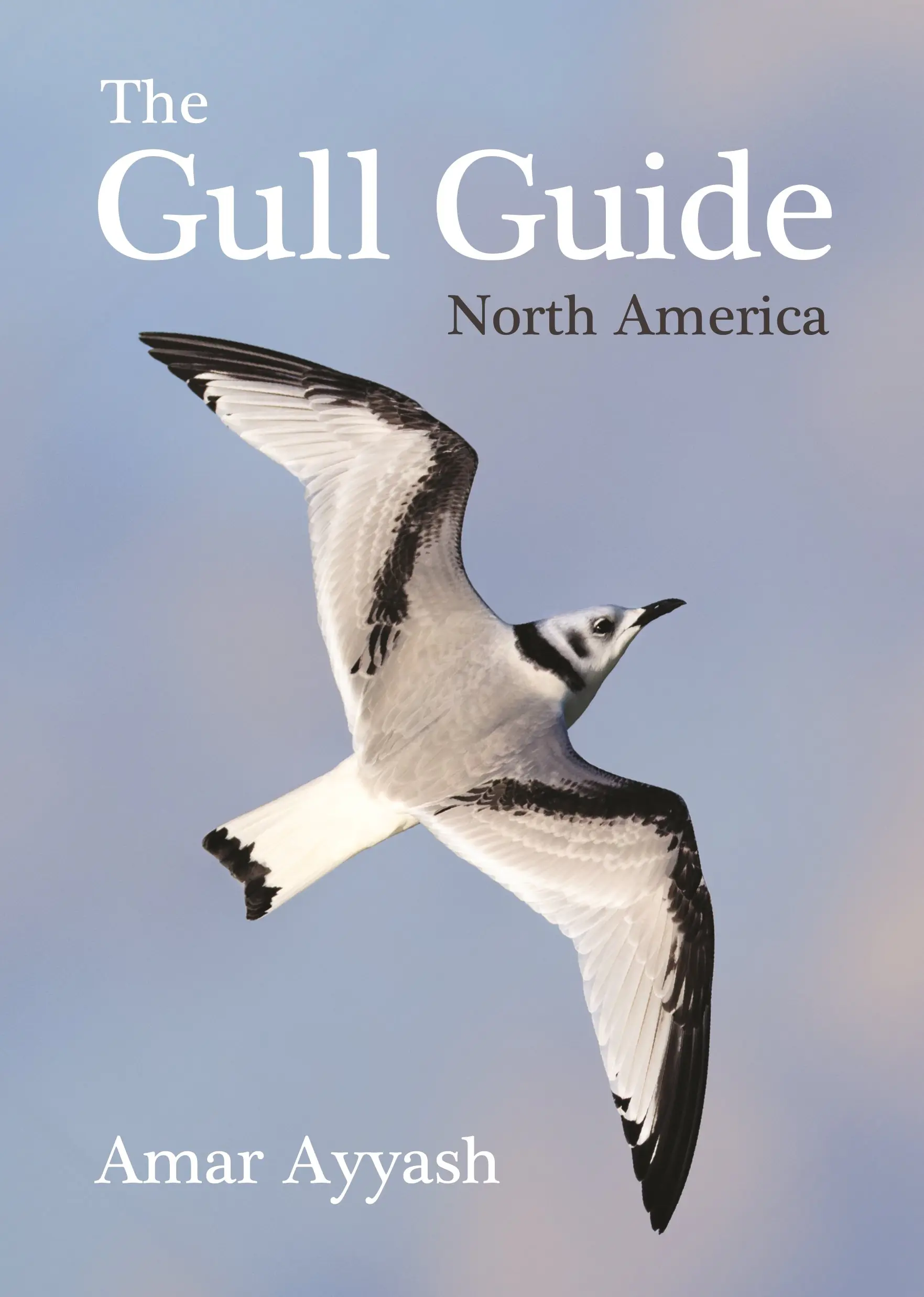 The Gull Guide • Good Reading